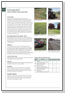 Grassguard - Drainage solutions - 360urban.co.nz - for architectural ...